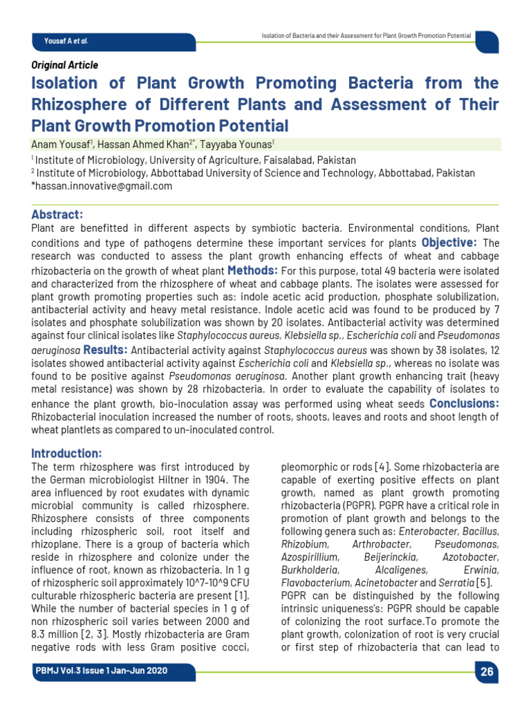 Isolation of Plant Growth Promoting Bacteria From | PDF | Bacteria ...