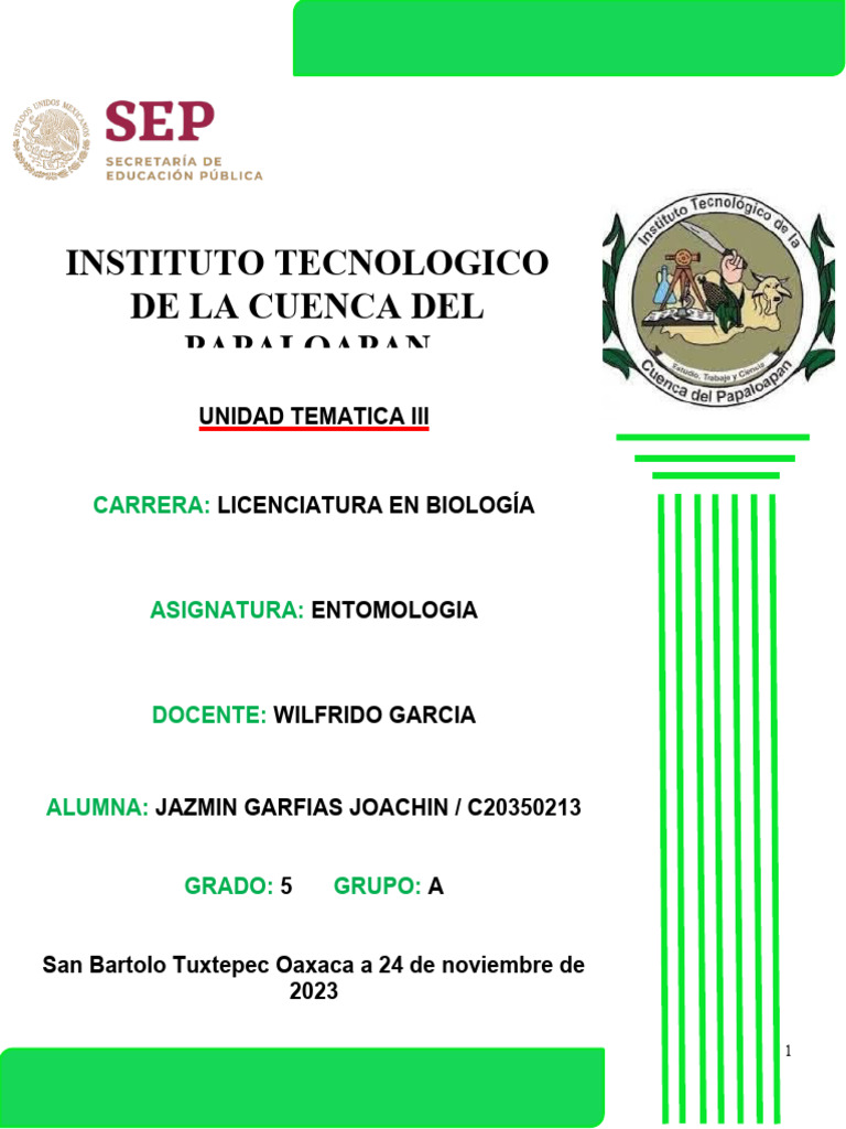 Catalogo de Insectos | Descargar gratis PDF | Insectos | Mosca