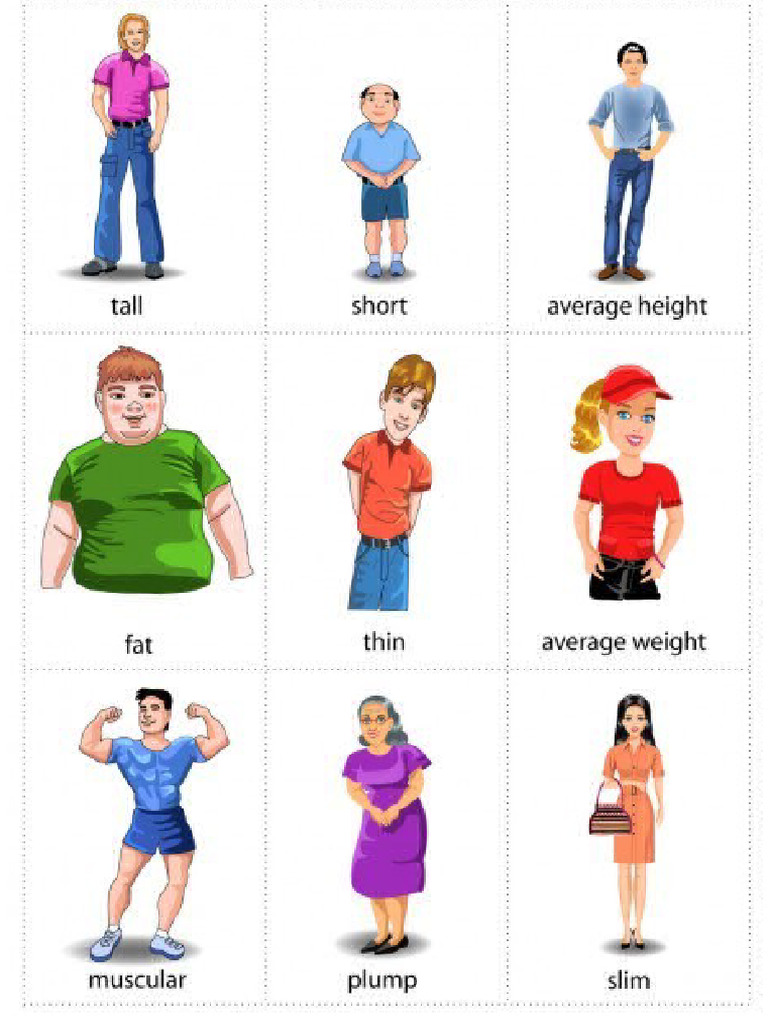 Fat, Thin, Tall, Short | PDF