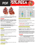 Bula do Benerva® (Cloridrato de Tiamina) | PDF | Vitamina | Coração