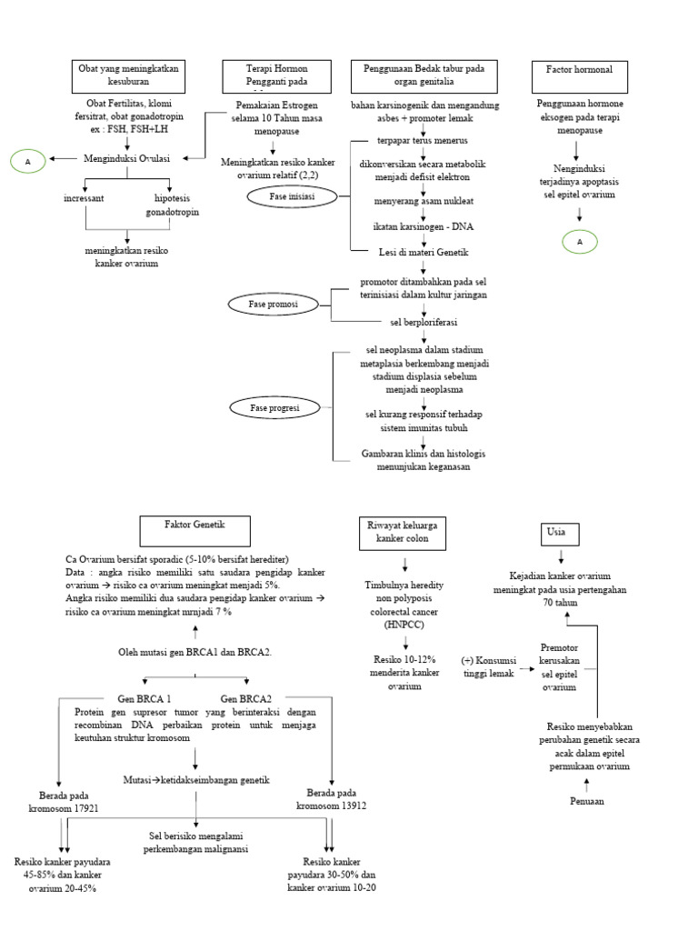 Risiko Kanker Ovarium dan Faktor Penyebabnya | PDF