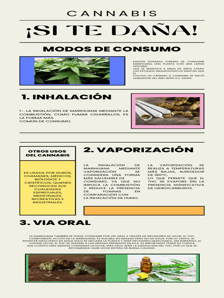 Infografia Cannabis ¡Si Te Daña! | Descargar gratis PDF | Cannabis ...