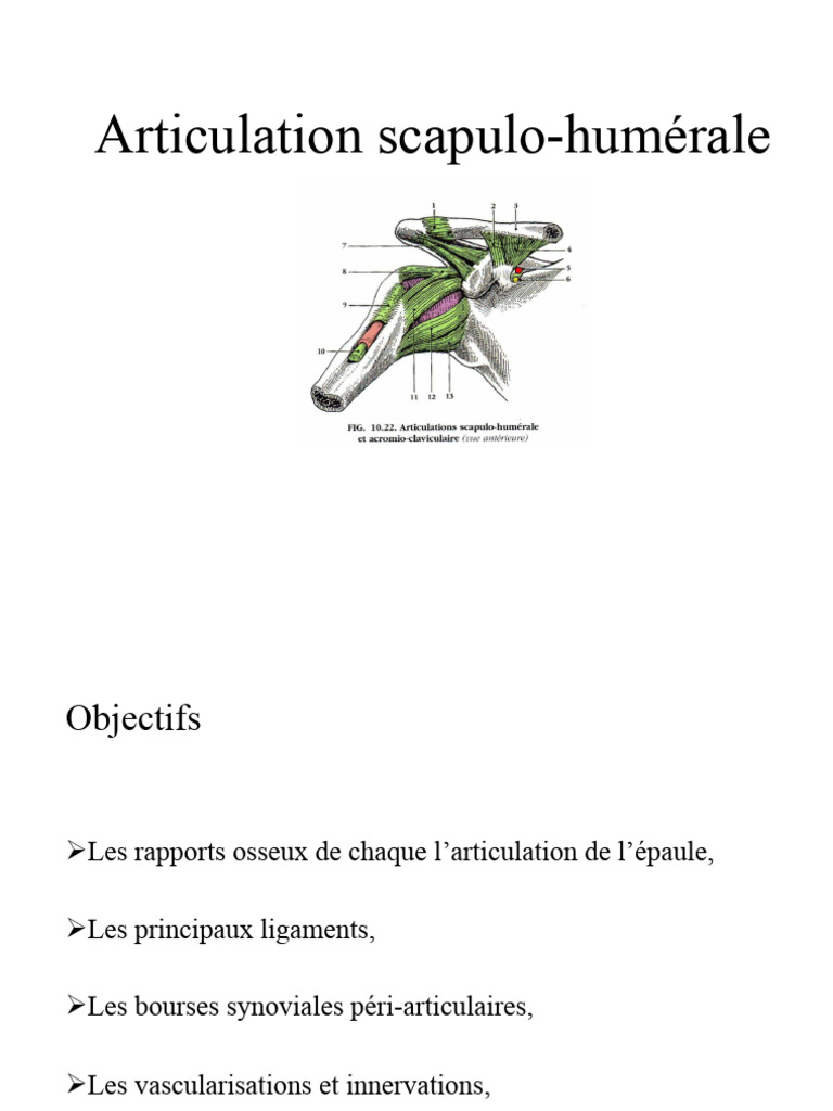 Articulation Scapulo-Humérale | PDF | Système squelettique | Articulation (anatomie)