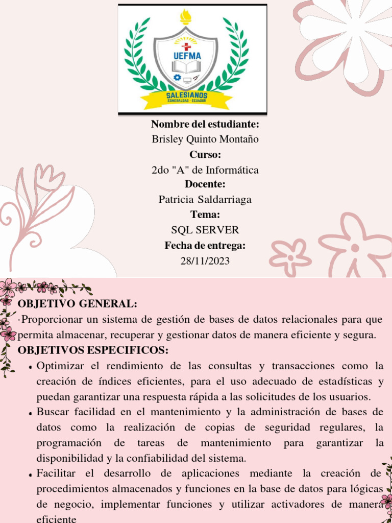 Programacion Brisley | PDF | Servidor SQL de Microsoft | SQL