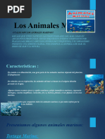 Conejo de mar: características y toxicidad | PDF | Huevo | Zoología