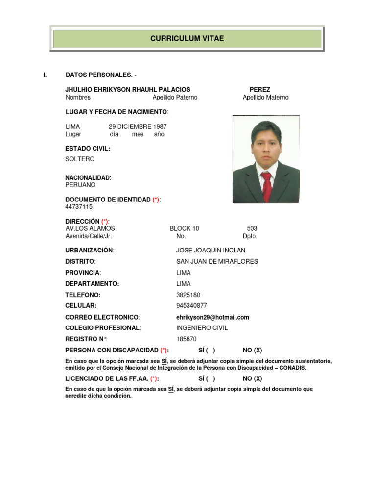 Curriculum Vitae | PDF | Lima | Perú