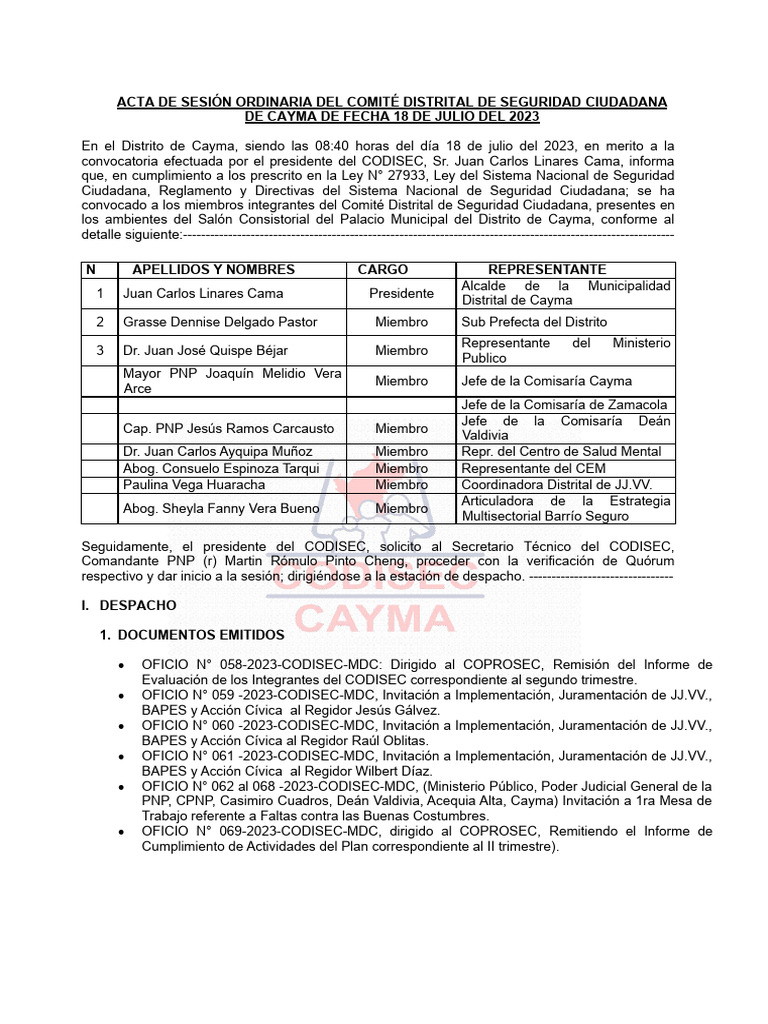 ACTA CODISEC 18 DE JULIO DEL 2023 | PDF | Ley Pública | Justicia