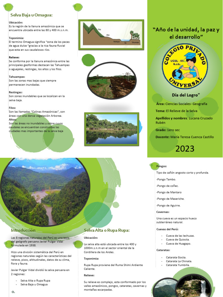 Selva Baja y Alta | PDF | Perú | Geografía