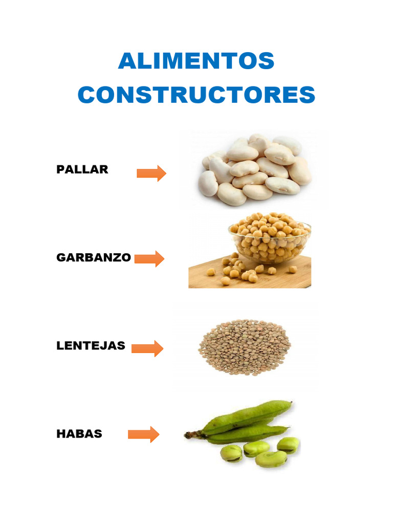 Clasificación de Alimentos Constructores | PDF