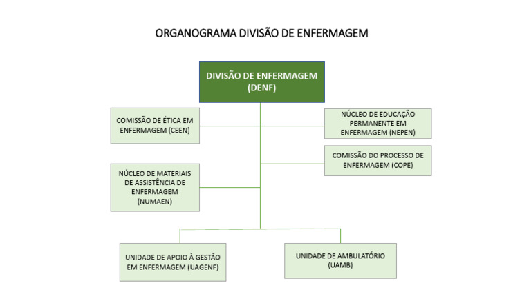 Organograma Divisão de Enfermagem | PDF