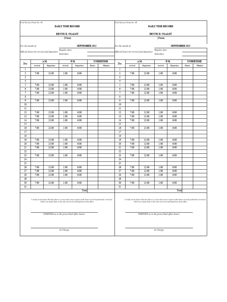 JULIUS - DTR Form JAN MAY 2023 | PDF