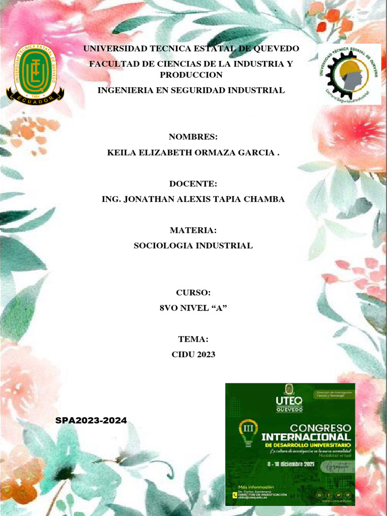 INFORME CIDU 2023_merged-comprimido | PDF