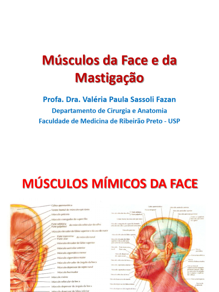 Músculos Da Face e Mastigação | PDF | Rosto | Olho humano