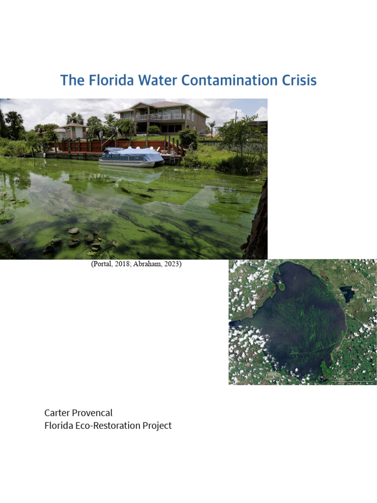 The Florida Water Contamination Crisis: Carter Provencal Florida Eco ...