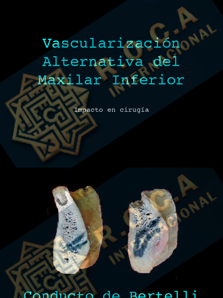 Conducto de Bertelli | PDF | Especialidades Medicas | Medicina CLINICA