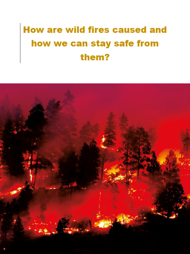 White Papers Portfolio | PDF | Wildfire | Fires