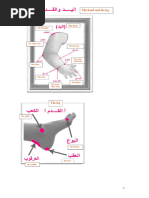 Design Guidelines For Ablution Spaces in | PDF | Mosque | Hygiene