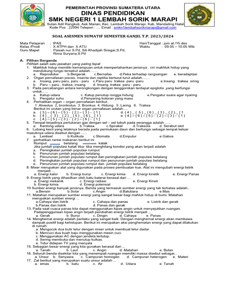 IPAS X Atu Atph | PDF