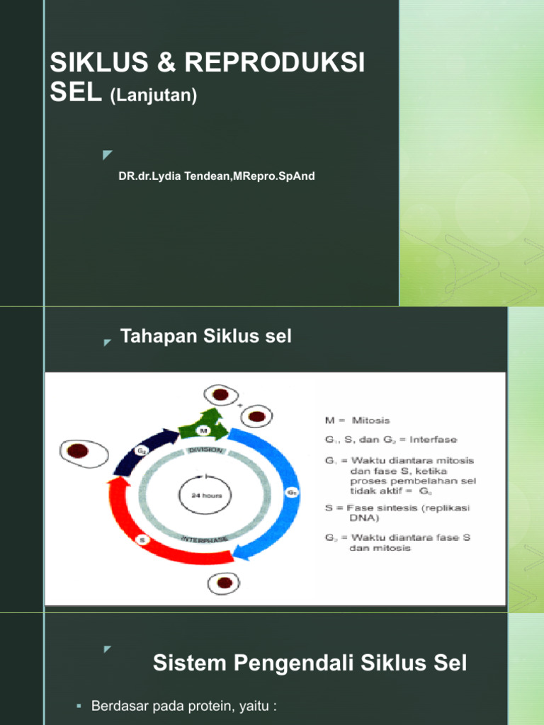 Siklus & Reproduksi Sel 2 | PDF