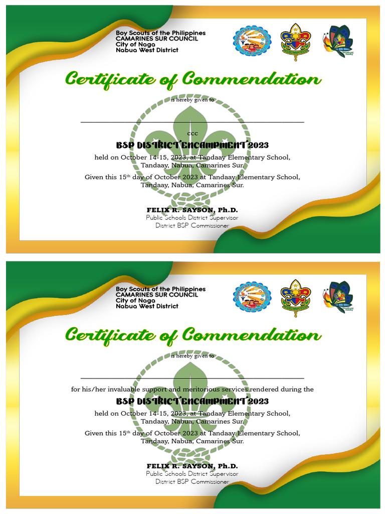 BSP Certificate | PDF