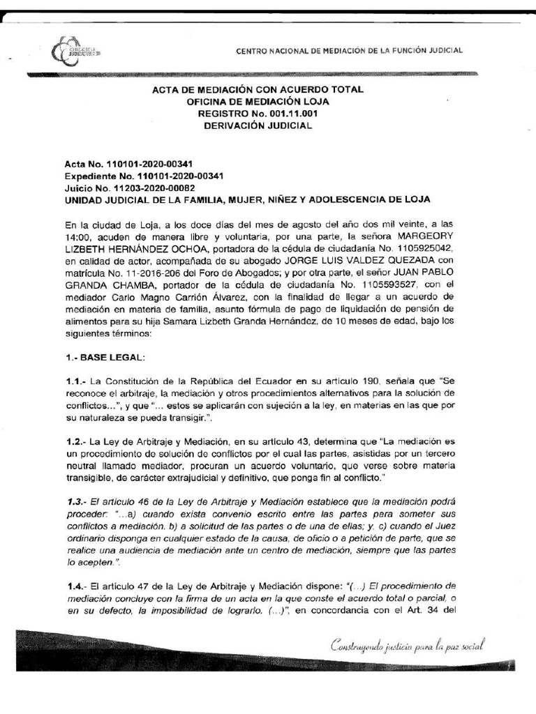 Modelo - Acta de Mediación Con Acuerdo Total, Alimentos | PDF