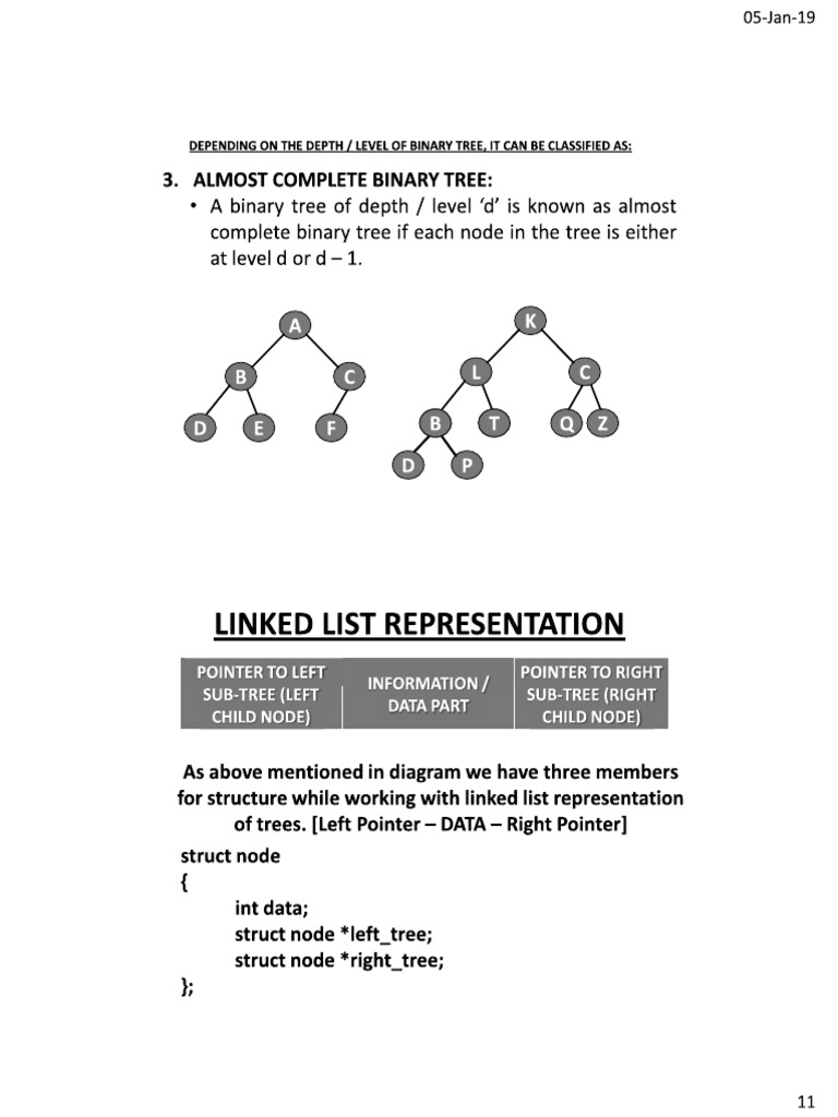 Clean Tree Notes 20 | PDF