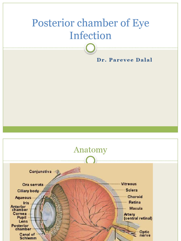 Posterior Chamber of Eye Infection 1 | PDF | Human Eye | Eye