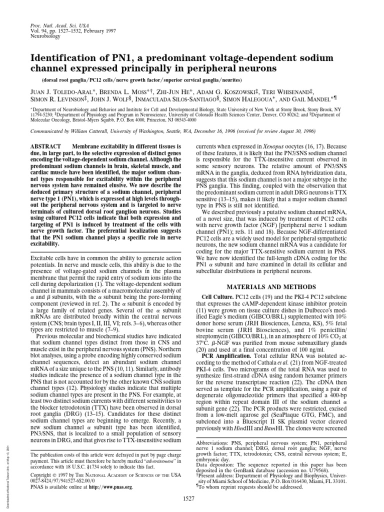 1997 Identification of PN1, a predominant voltage-dependent sodium channel expressed principally ...