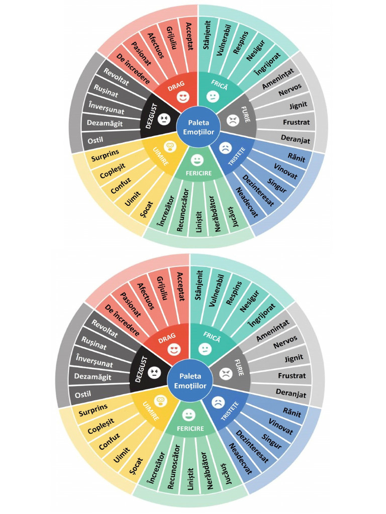 Roata Emotiilor | PDF