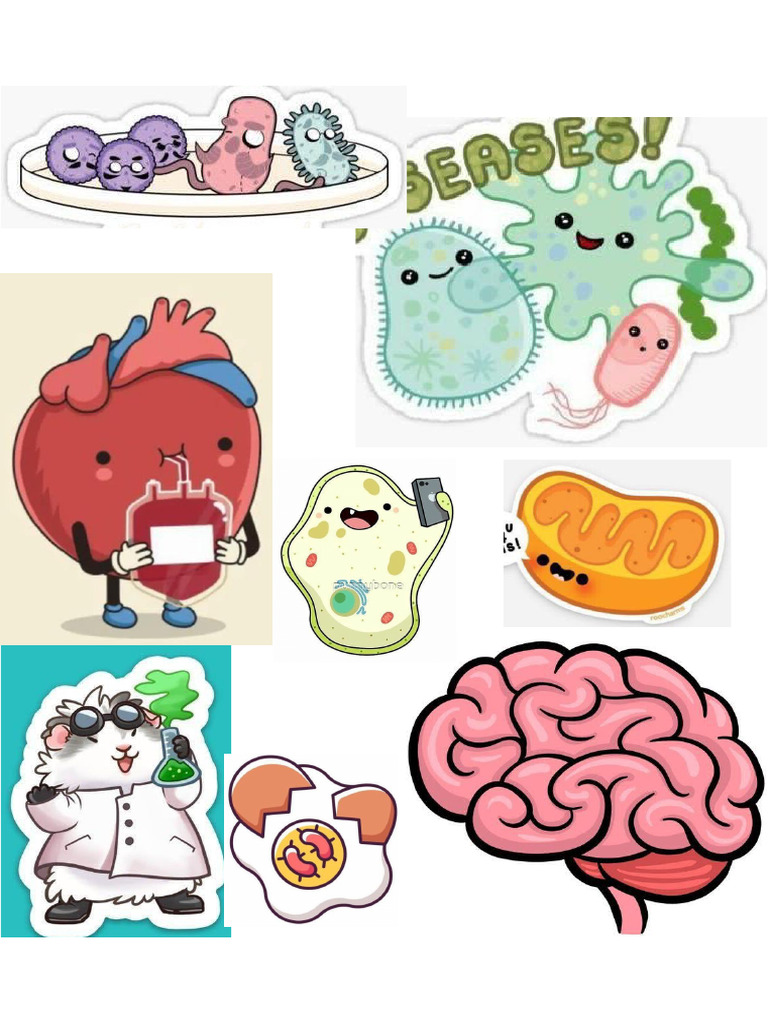 Documento (Cta) | PDF