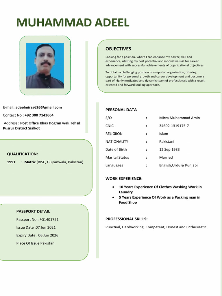 Muhammad Adeel | PDF