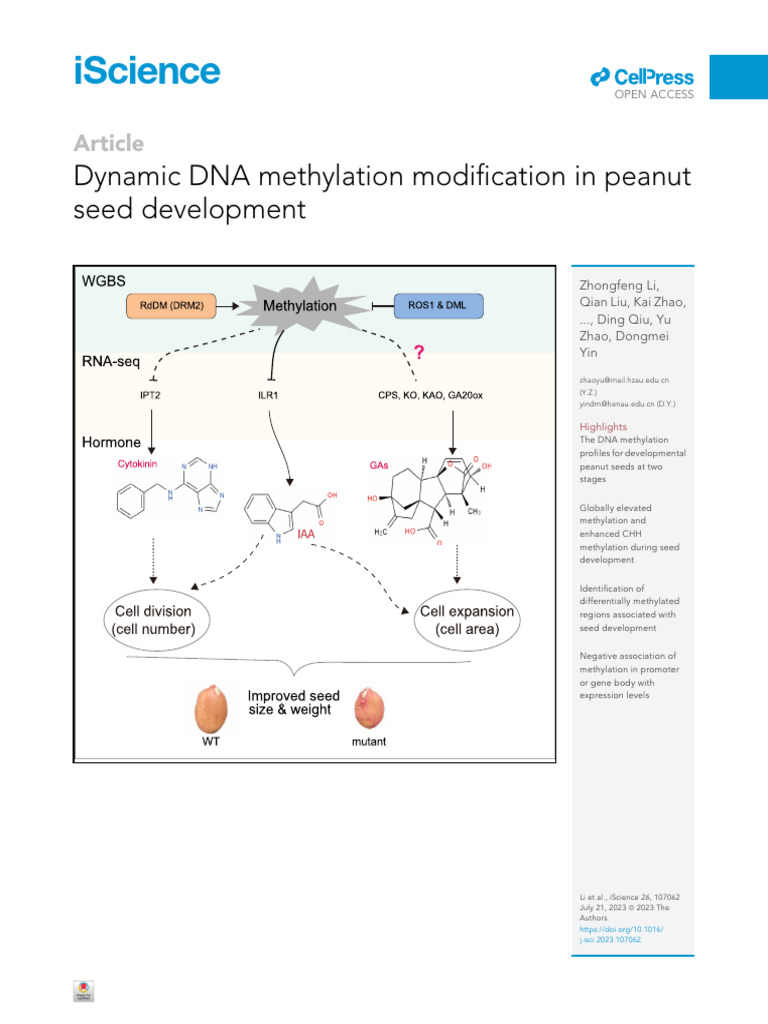 Dynamic DNA Methylation Modification in Peanut Seed Development | PDF | Dna Methylation | Plant ...