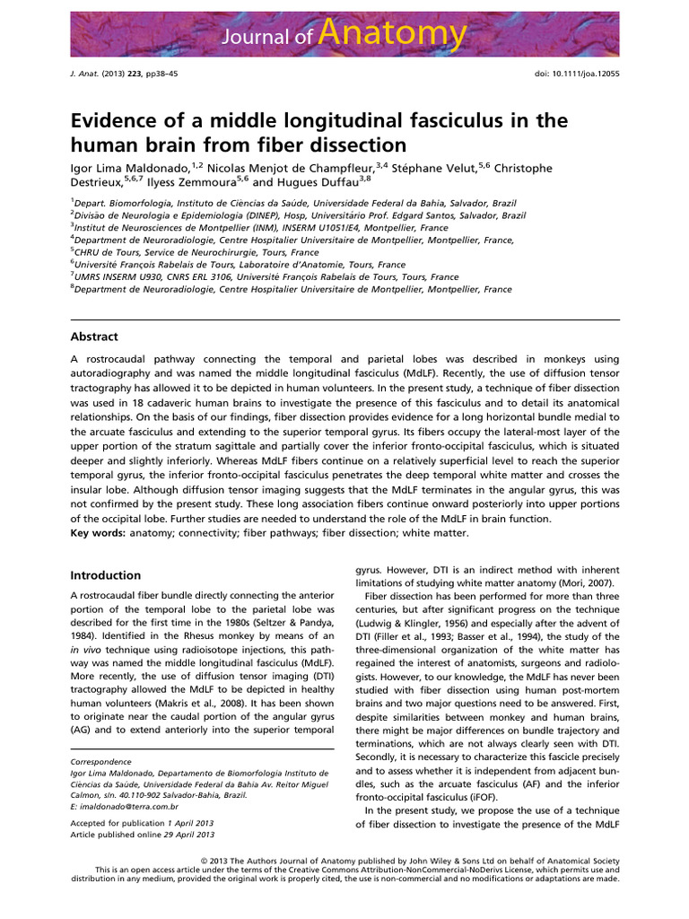 Evidence of A Middle Longitudinal Fasciculus in The Human Brain From ...