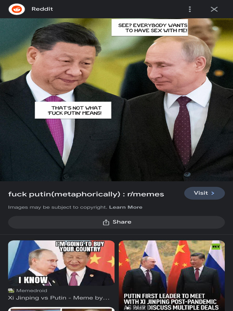 Putin Meme - Google Search | PDF