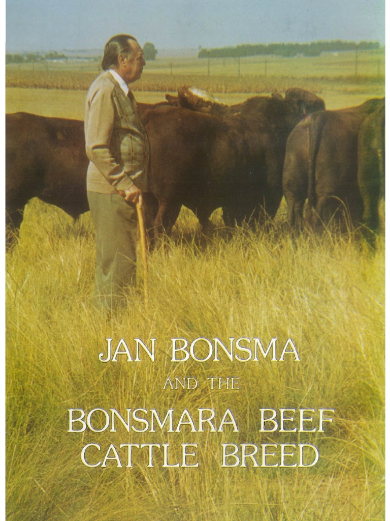 Jan Bonsma and The Bonsmara Beef Cattle Breed | PDF