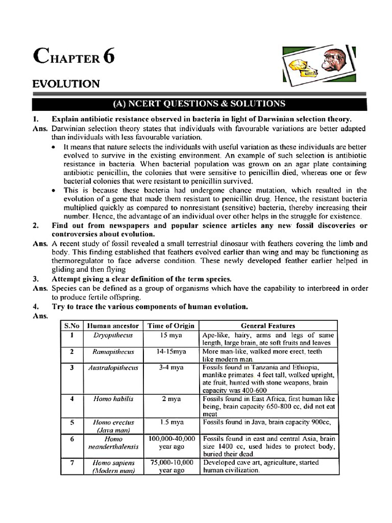 Null 9 | PDF