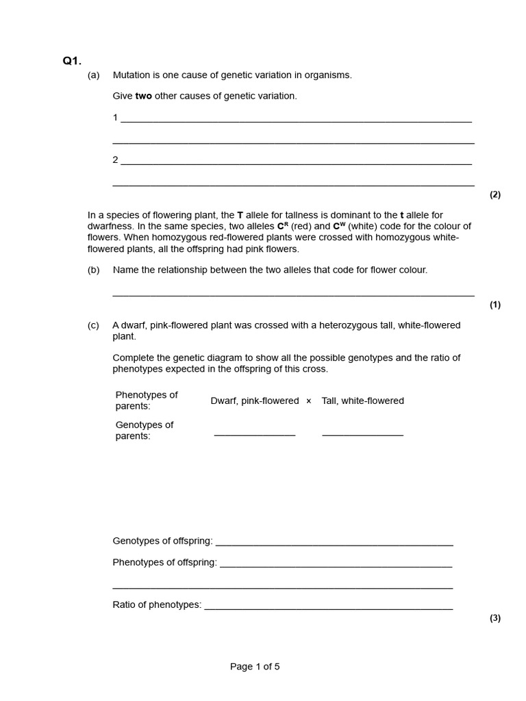 YEAR 13 Questions Speciation, Hardy Weinberg | PDF | Zygosity | Genotype