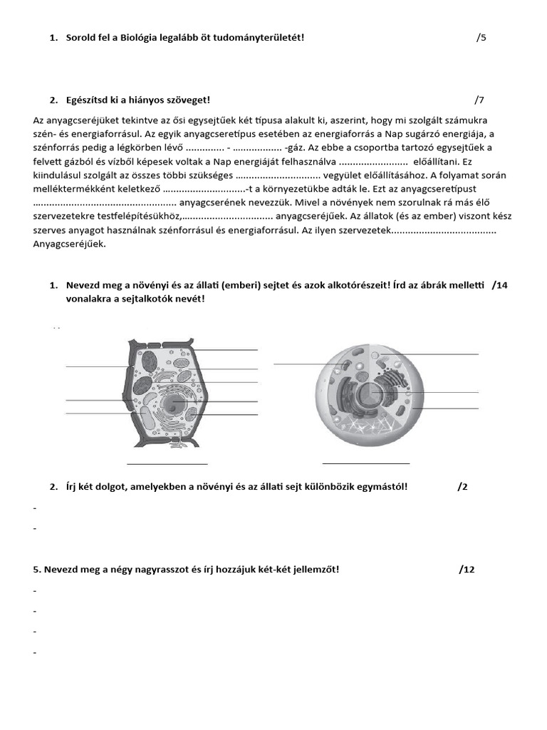7.első Fejezet Dolgozat | PDF