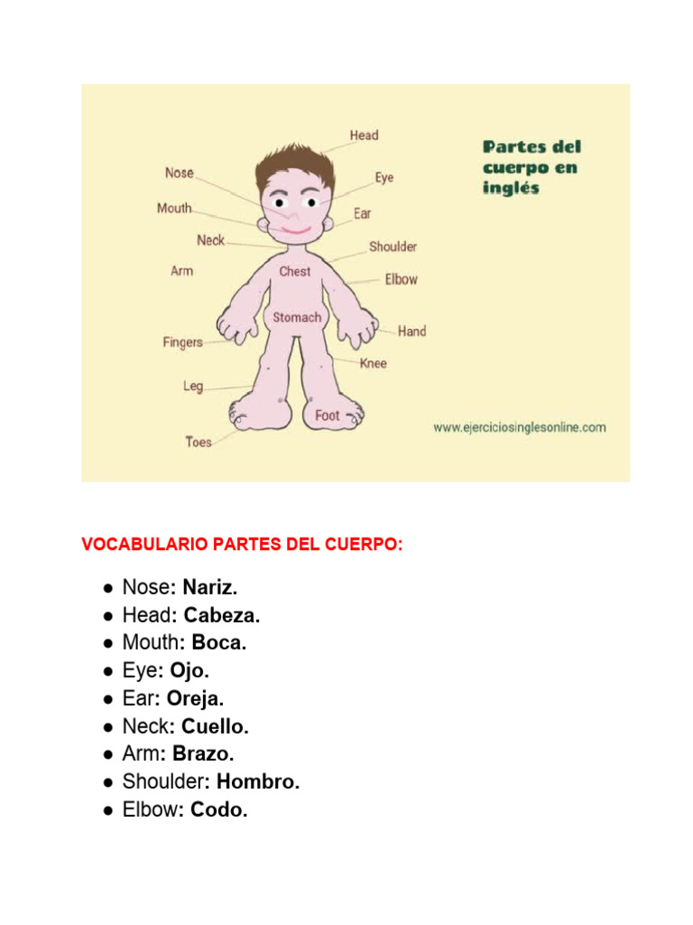 Vocabulario Partes Del Cuerpo | PDF