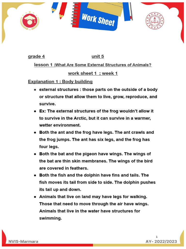External Structures of Animals Explained | PDF | Frog | Predation