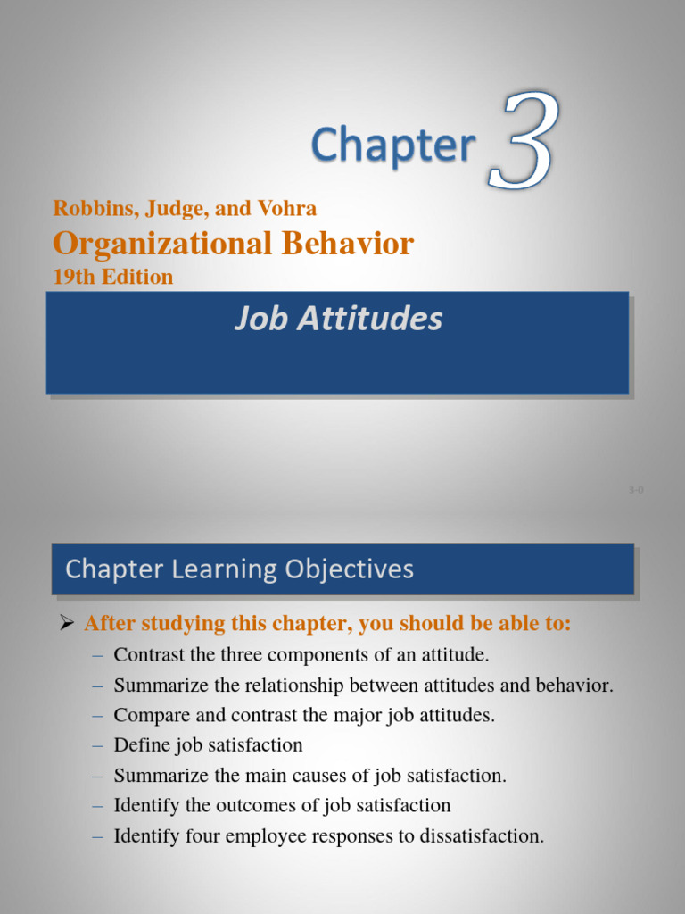 Organizational Behavior | PDF | Job Satisfaction | Attitude (Psychology)