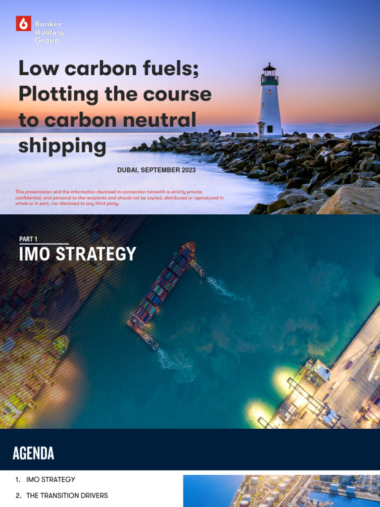 Low Carbon Fuels for Carbon Neutral Shipping | PDF | Biofuel | Biogas