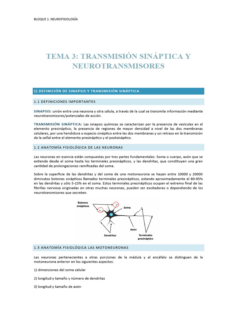 TEMA 3 | PDF | Sinapsis | Sinapsis química