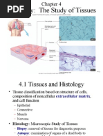 Epithelial Tissue | PDF | Epithelium | Tissue (Biology)