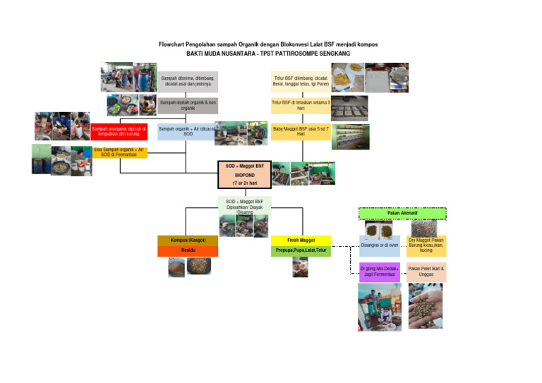 Proses Budidaya Maggot untuk Pakan Ternak | PDF