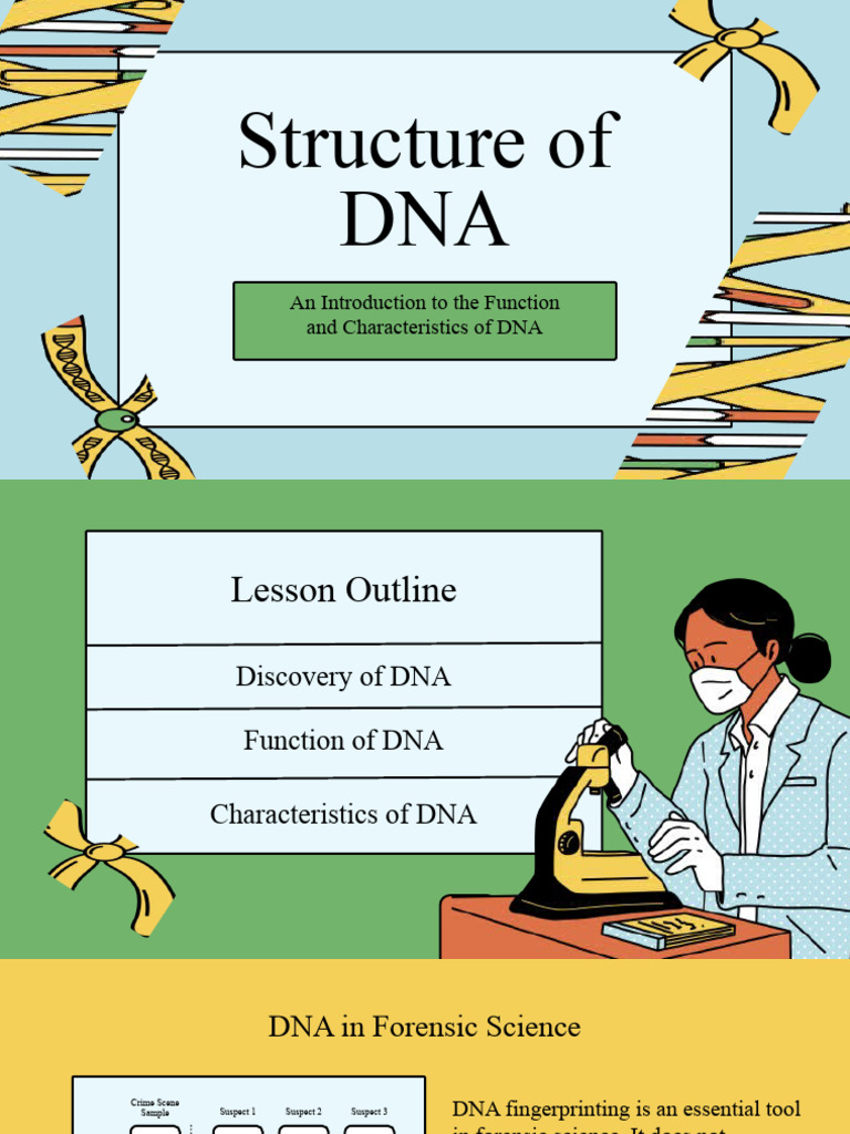 DNA Structure, Function, and Discovery | PDF | Dna | Macromolecules