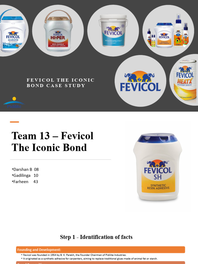 Fevicol Final | Download Free PDF | Marketing | Customer Relationship ...