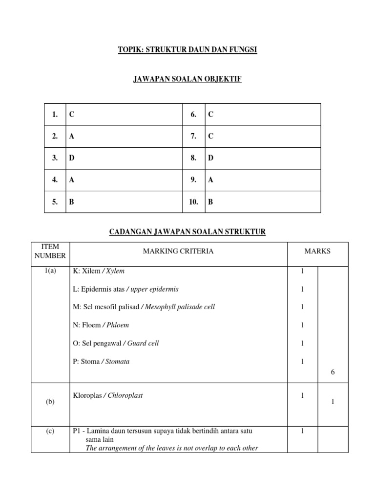 Jawapan Bio F5 Chapter 2 | PDF | Leaf | Stoma