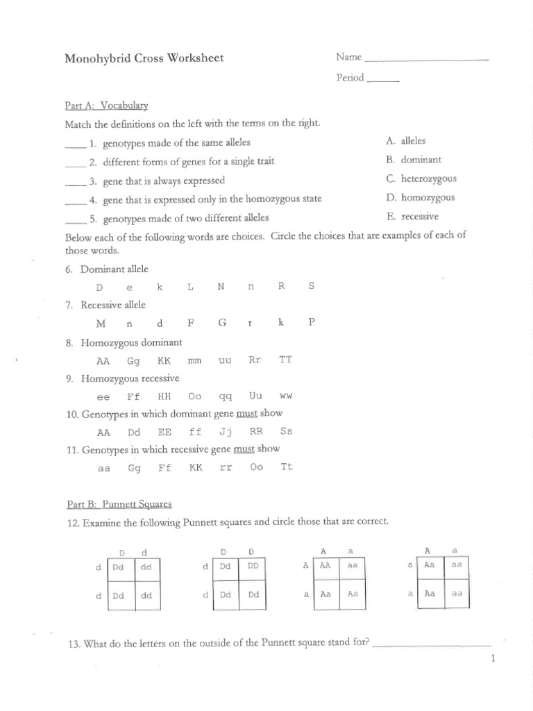 Monohybrid and Dihybrid Cross 1 1 | PDF