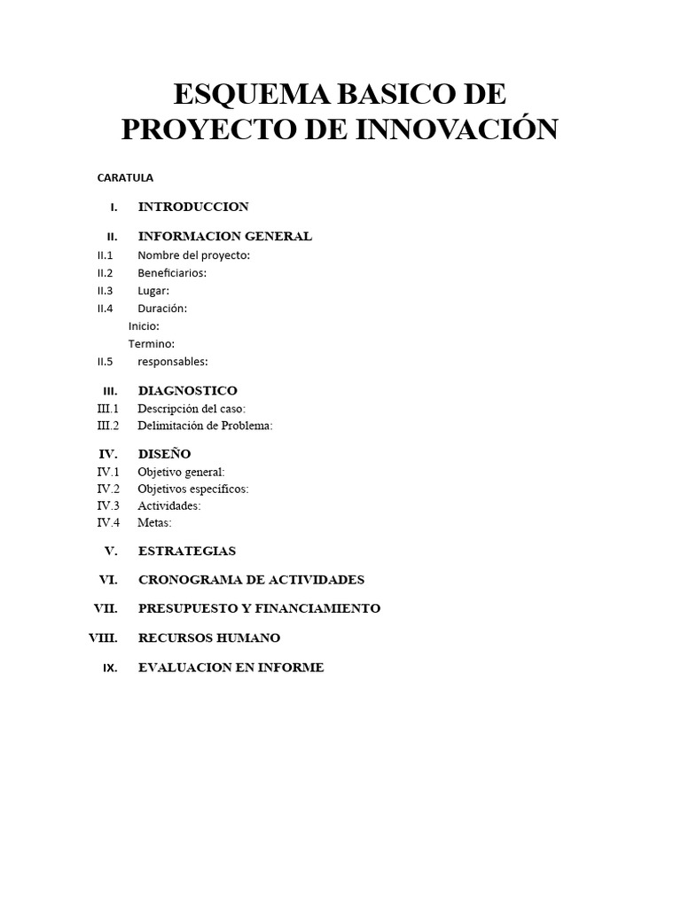 Esquema Basico de Proyecto de Ayuda A La Comunidad | PDF